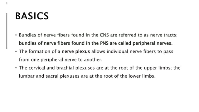 Basic Peripheral Nerve Examination.pptx