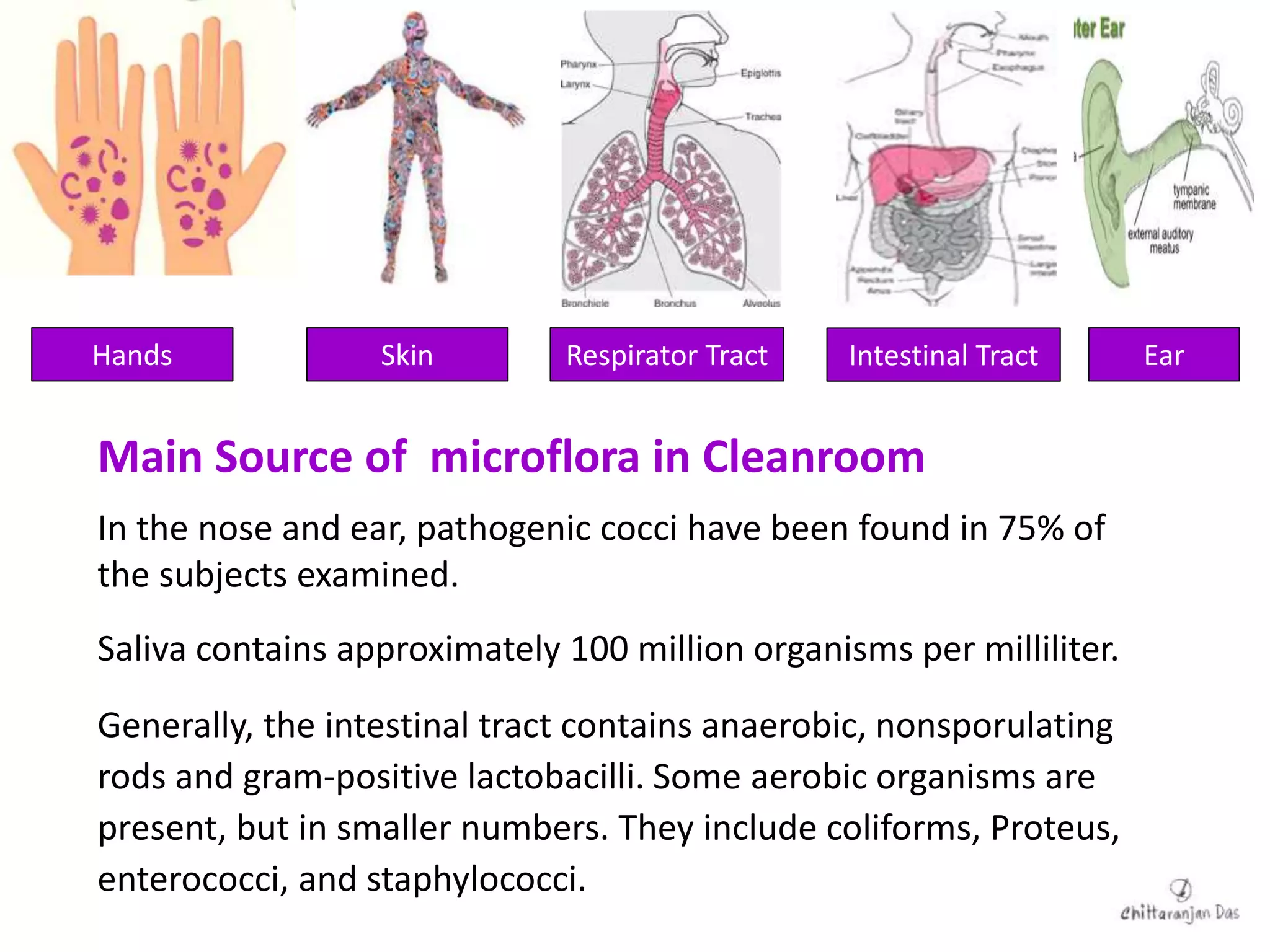 Introduction to Basic Pharmaceutical Microbiology | PPTX