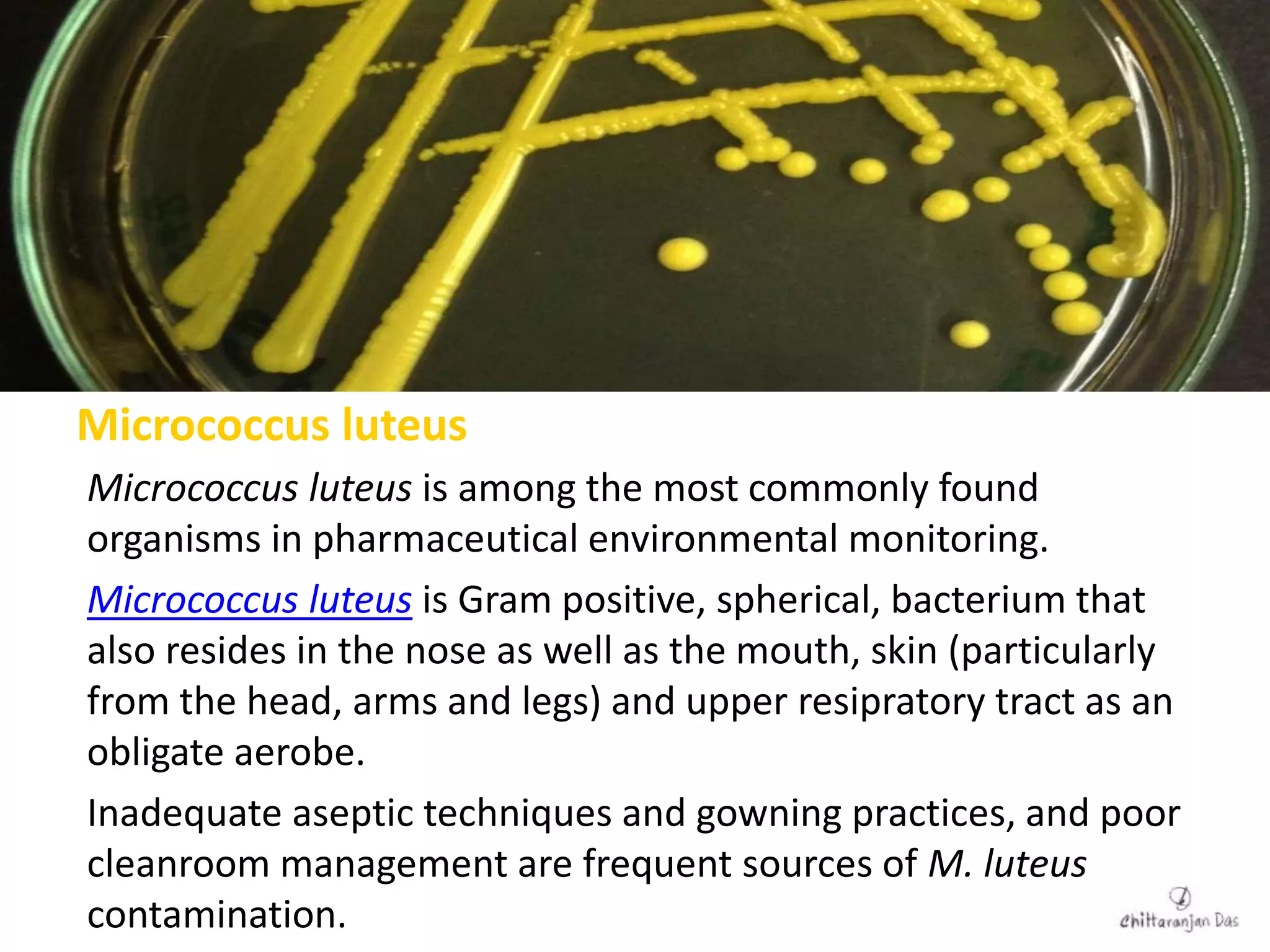 Introduction to Basic Pharmaceutical Microbiology | PPTX