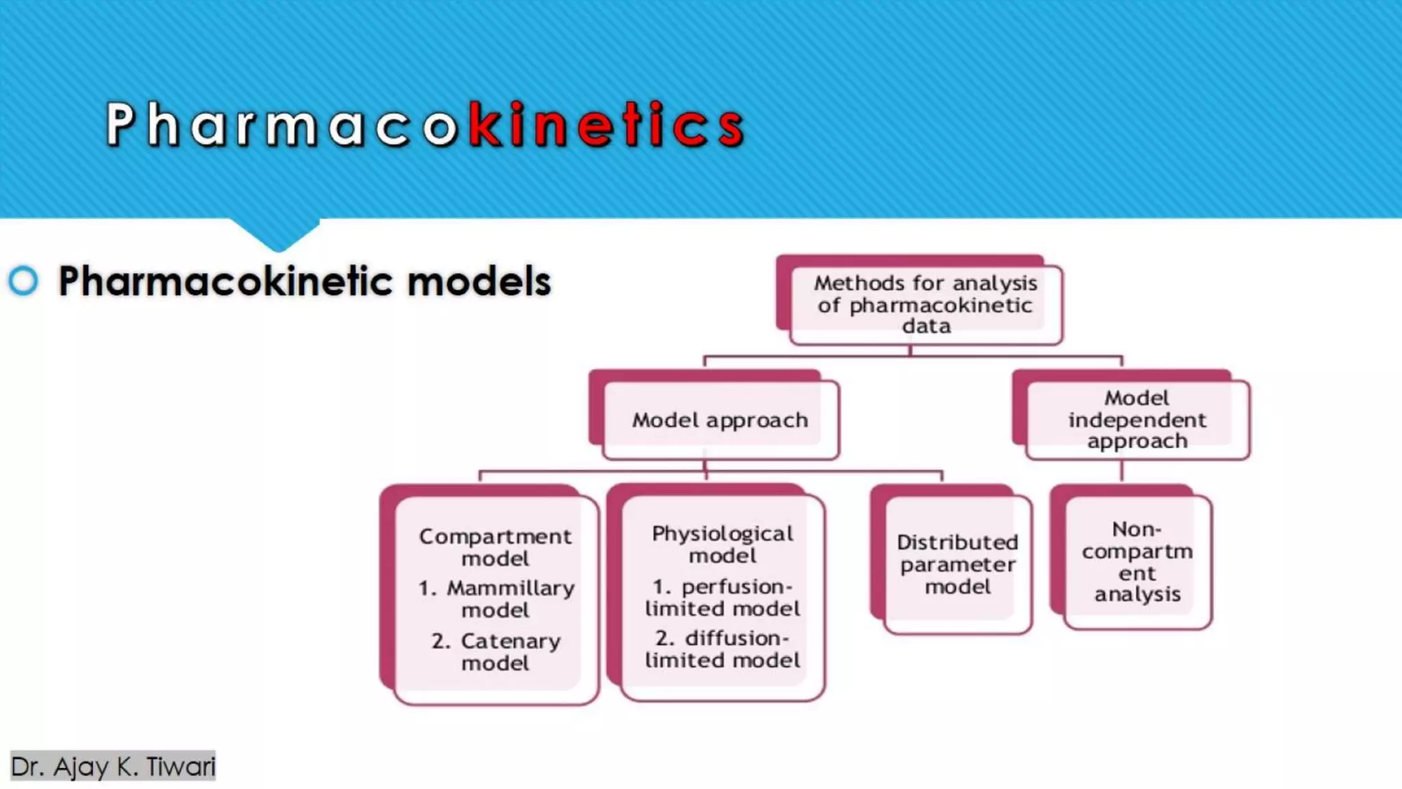 Basic pharmacokinetics pharmacokinetic modelings by akt | PPTX