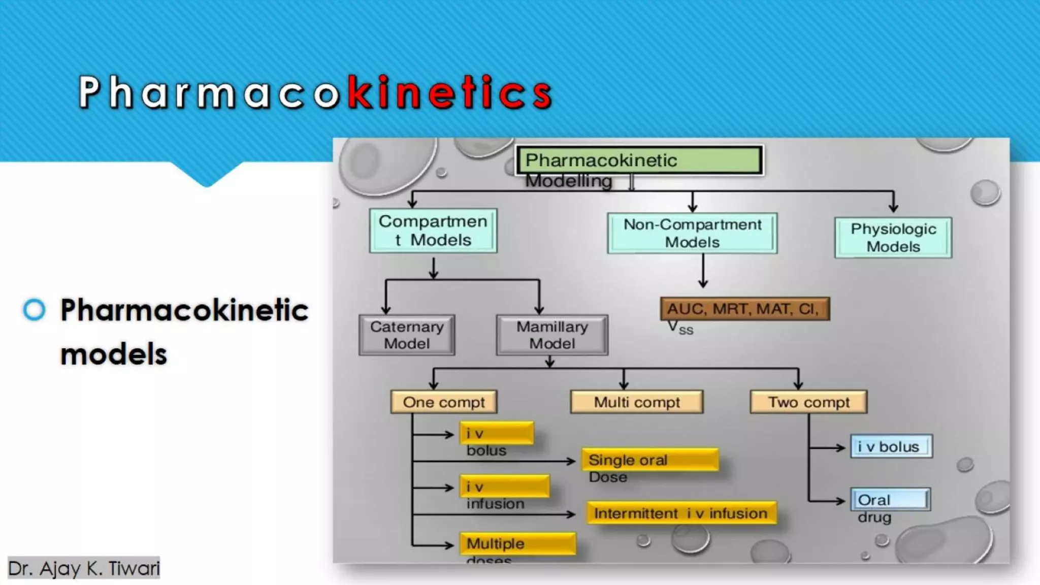 Basic pharmacokinetics pharmacokinetic modelings by akt | PPTX