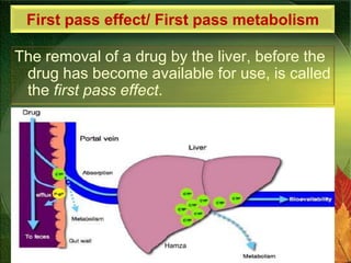 Basic pharmacology. hamza | PPT