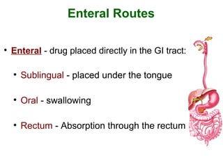Basic pharmacology for MR | PDF | Lung and Respiratory Health ...