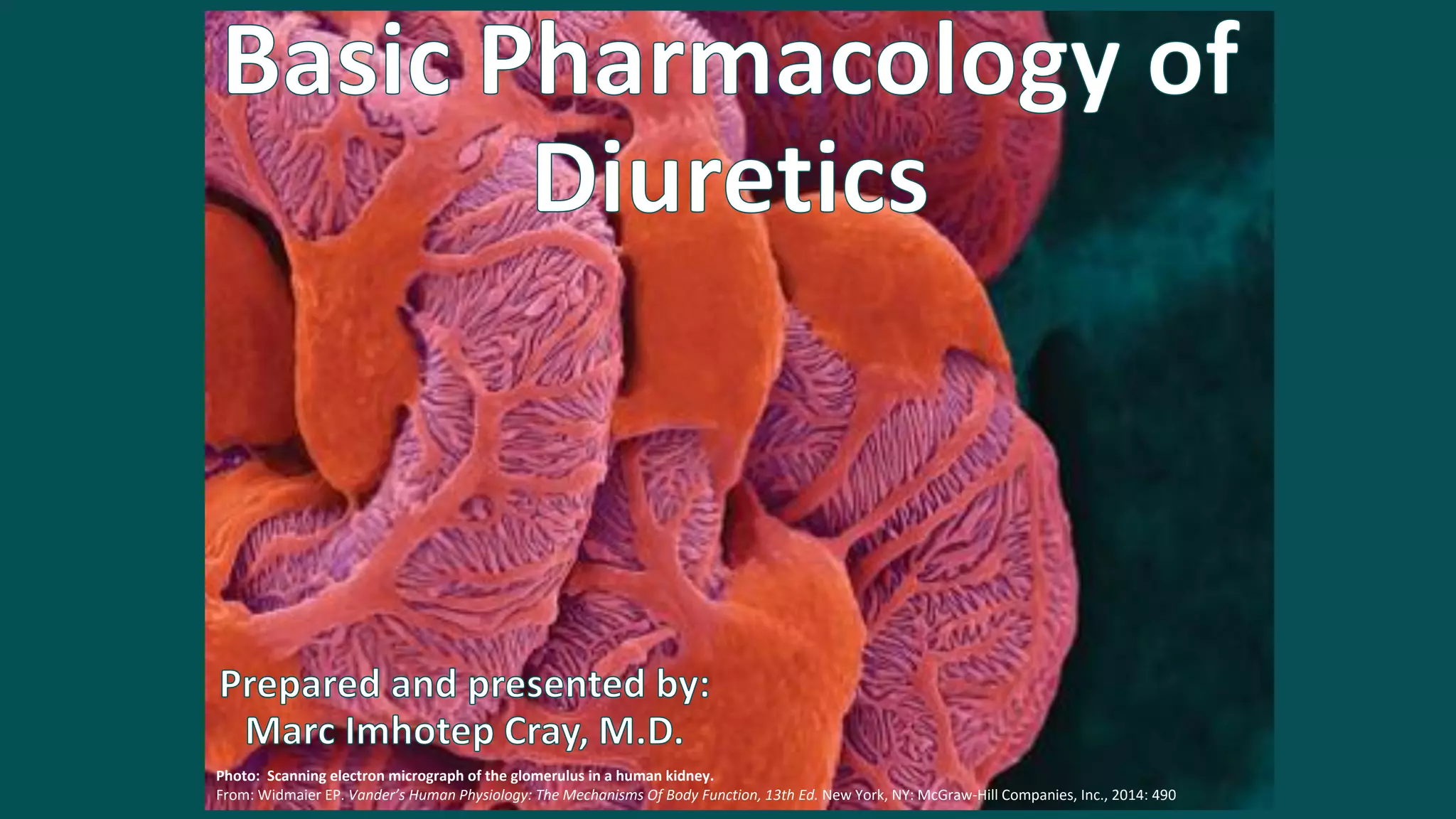 Basic Pharmacology of Diuretics | PDF