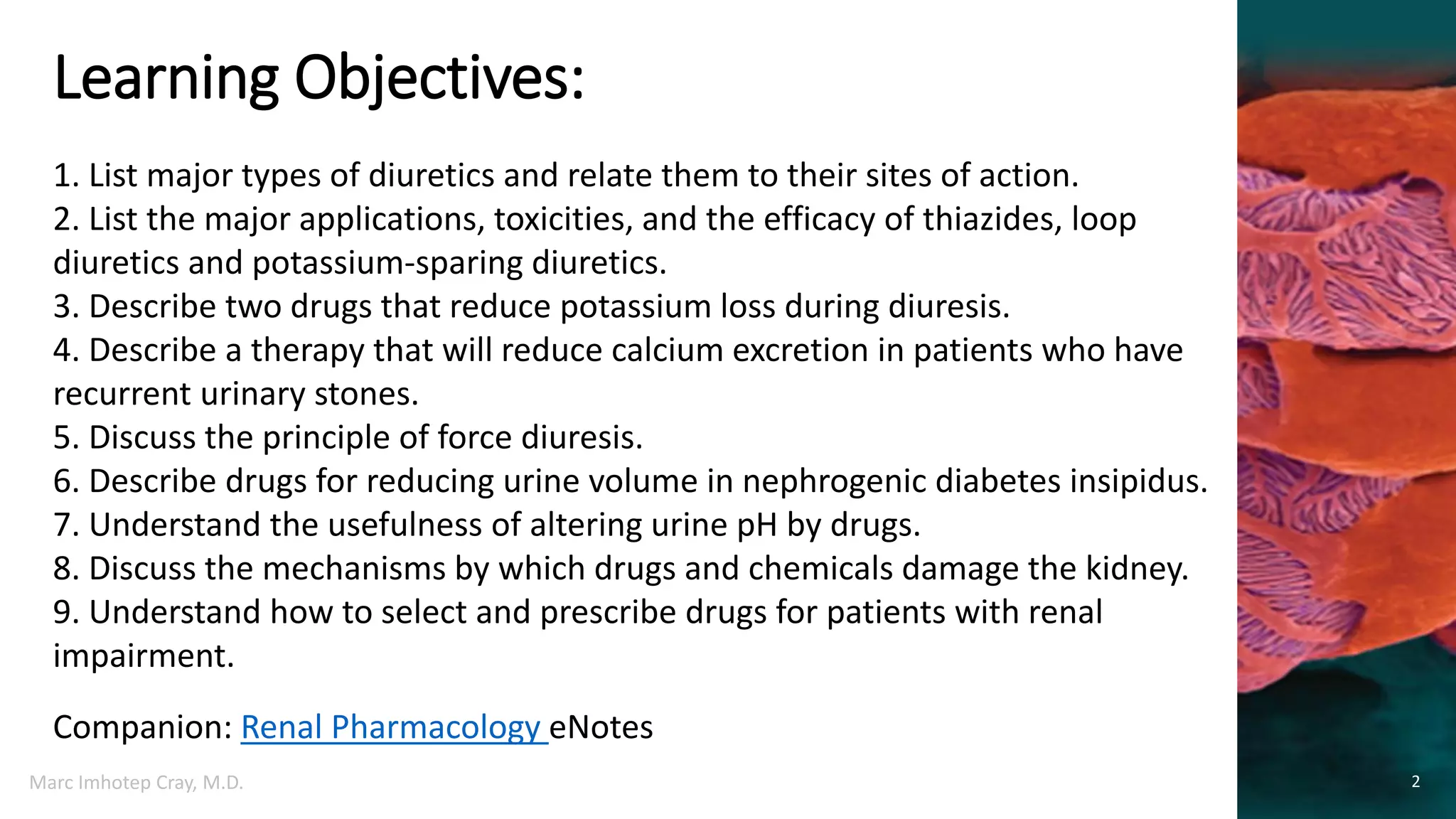 Basic Pharmacology of Diuretics | PDF
