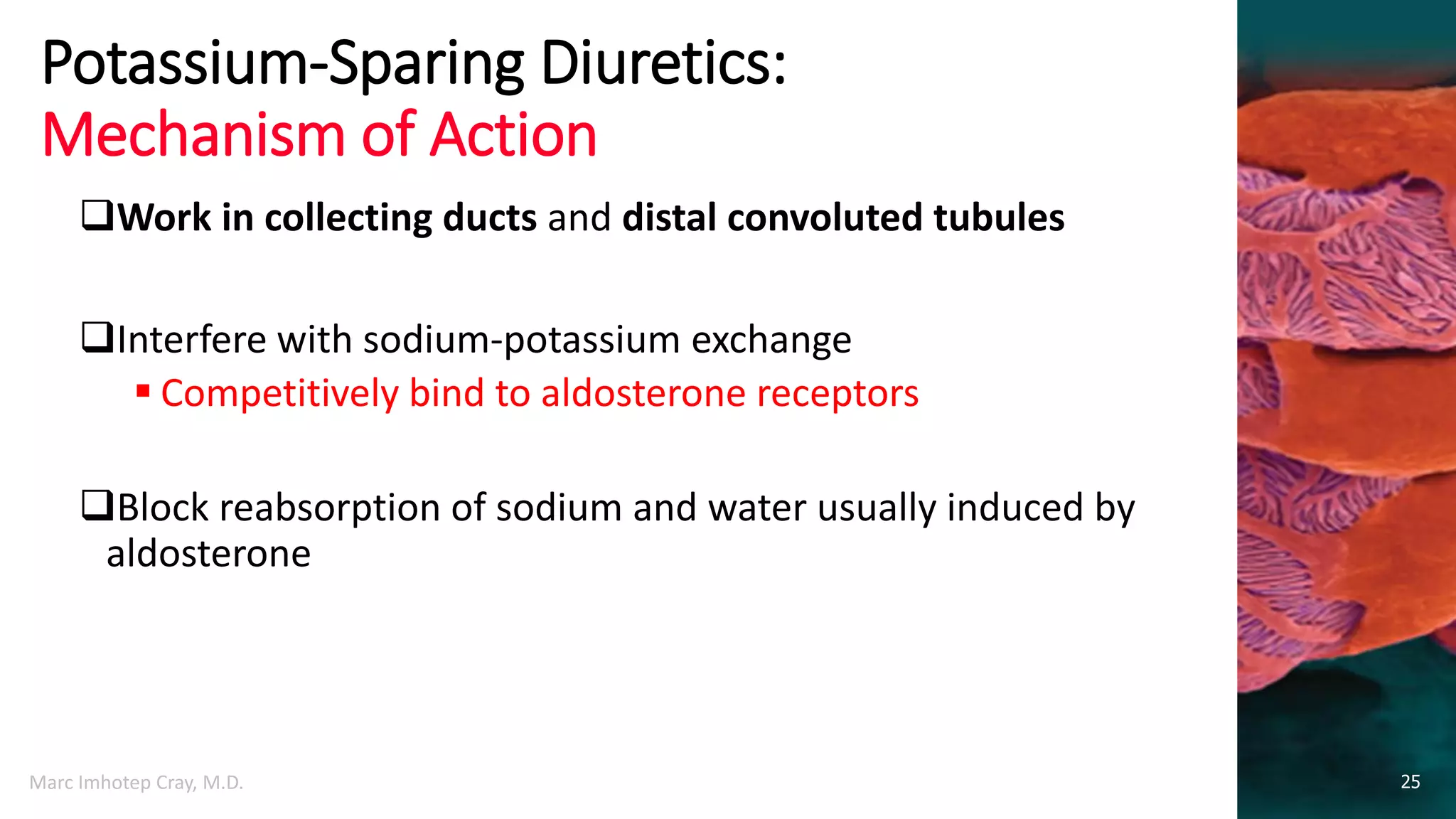 Basic Pharmacology of Diuretics | PDF