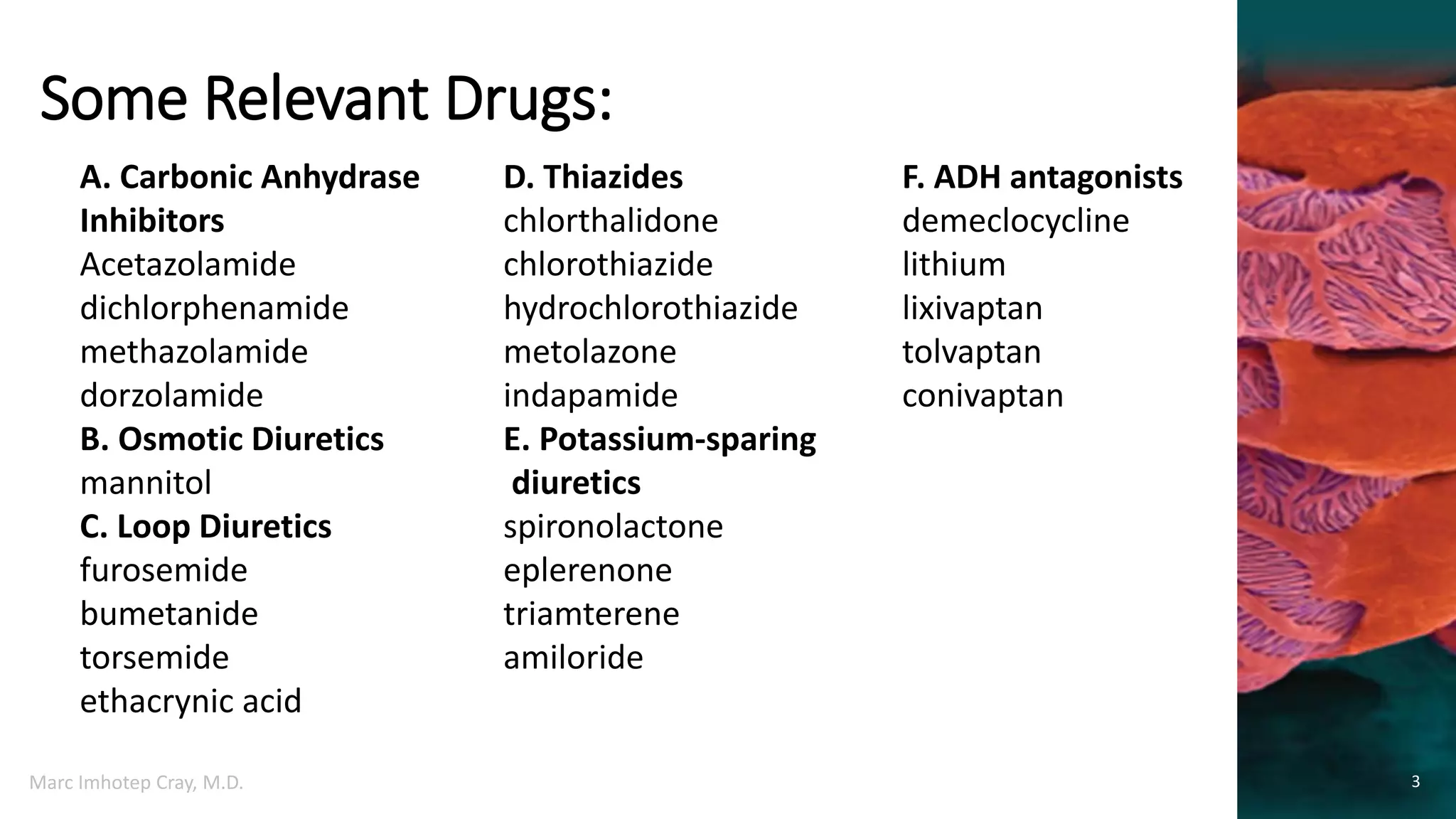 Basic Pharmacology of Diuretics | PDF