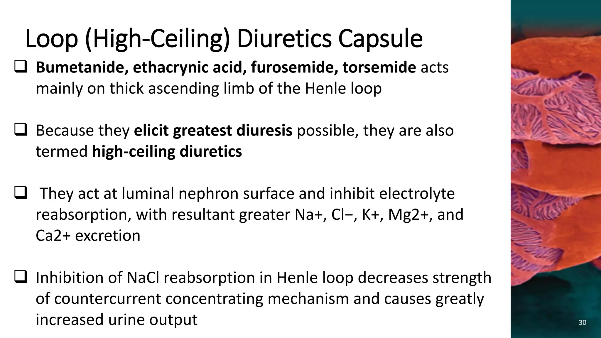 Basic Pharmacology of Diuretics | PDF
