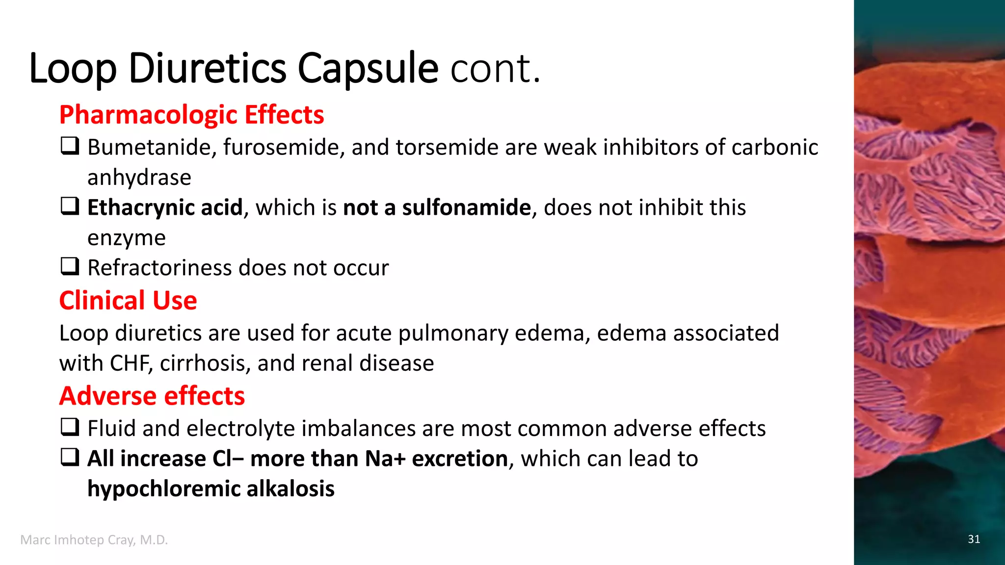 Basic Pharmacology of Diuretics | PDF