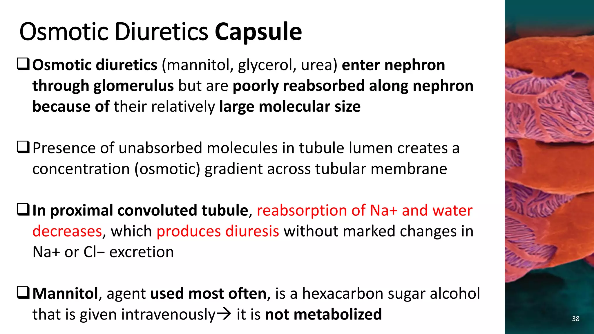Basic Pharmacology of Diuretics | PDF