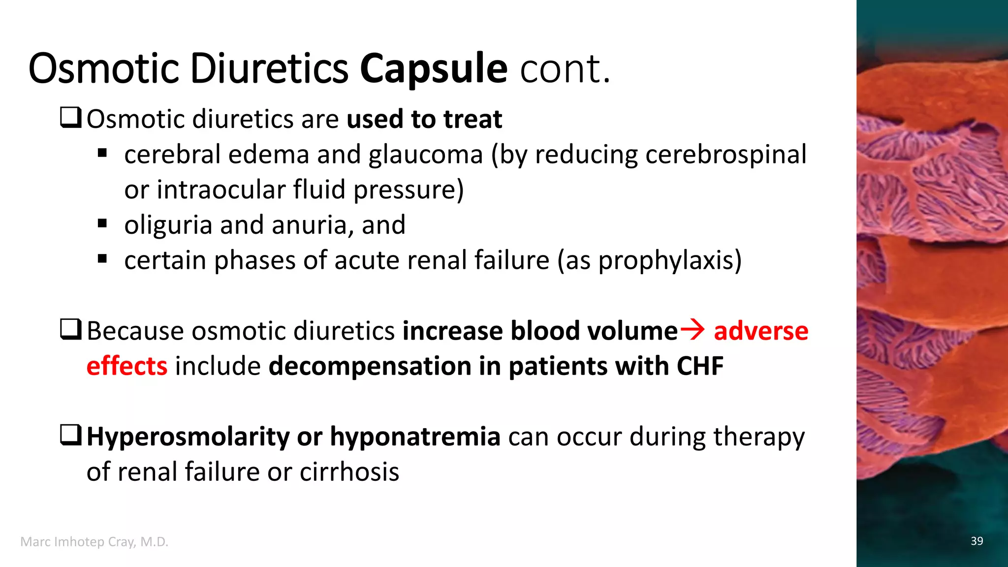 Basic Pharmacology of Diuretics | PDF