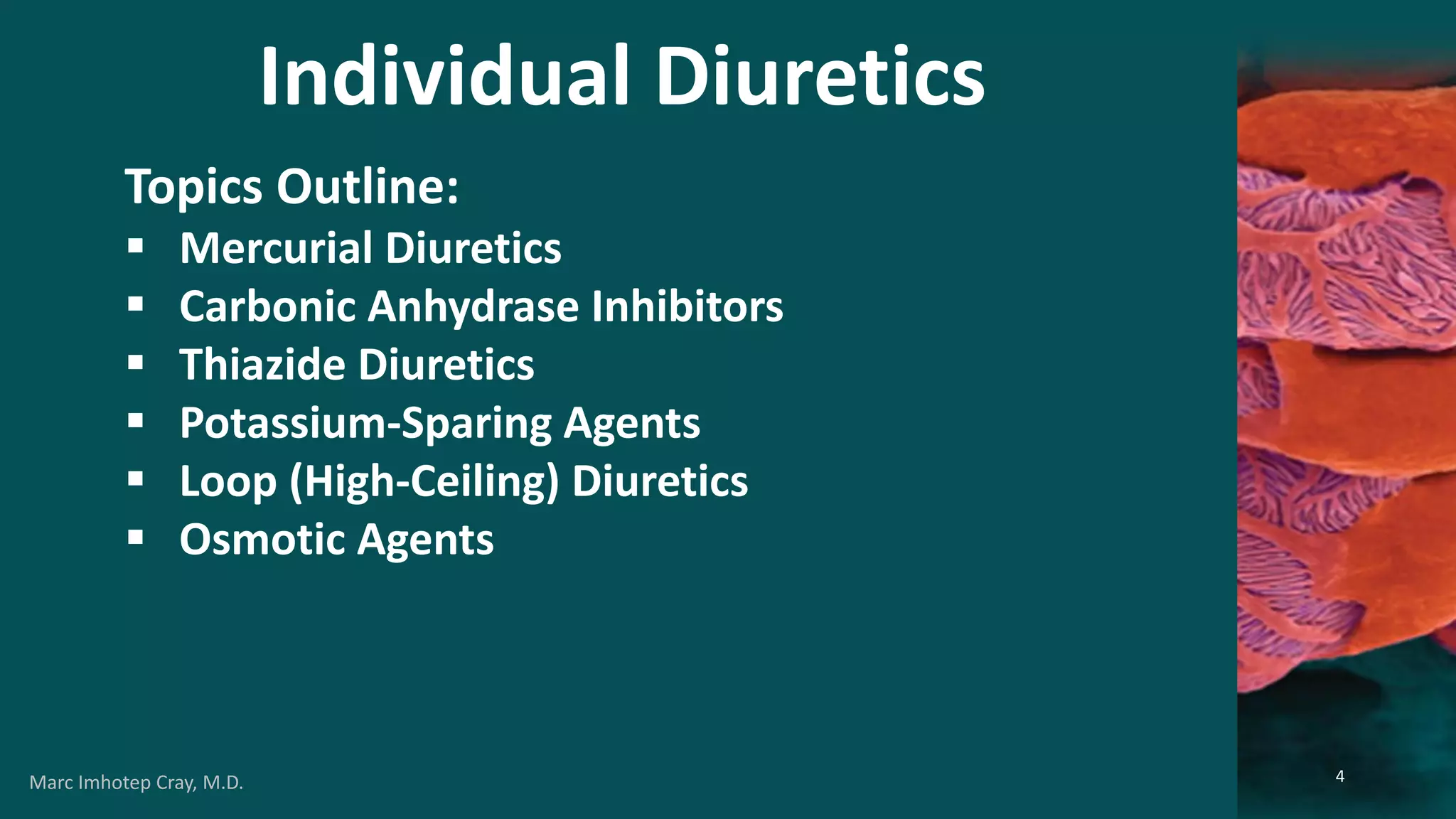 Basic Pharmacology of Diuretics | PDF