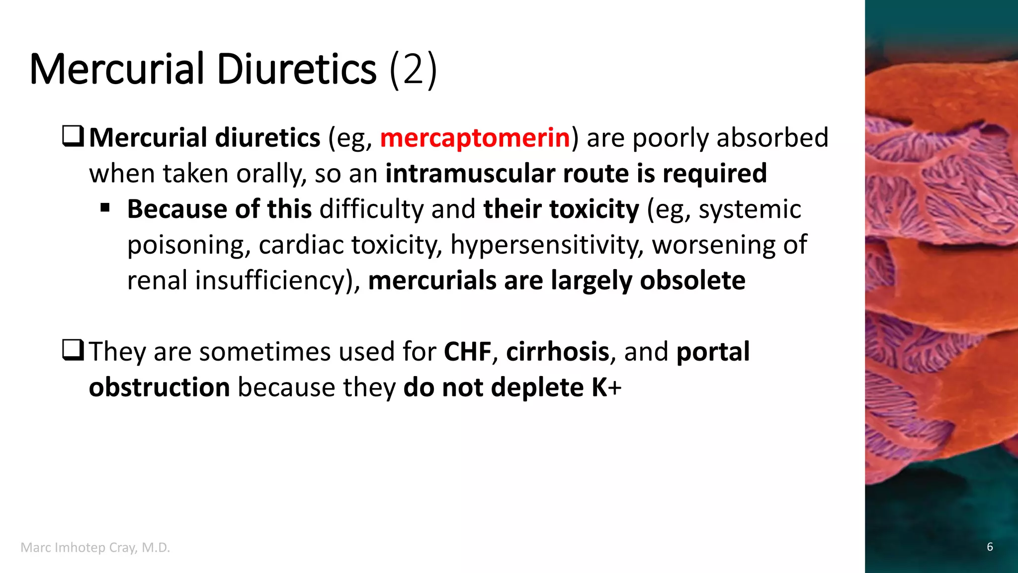 Basic Pharmacology of Diuretics | PDF