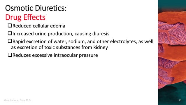 Basic Pharmacology of Diuretics | PDF