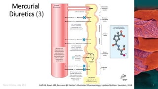 Basic Pharmacology of Diuretics | PDF