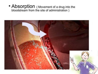 Basic Pharmacology | PDF