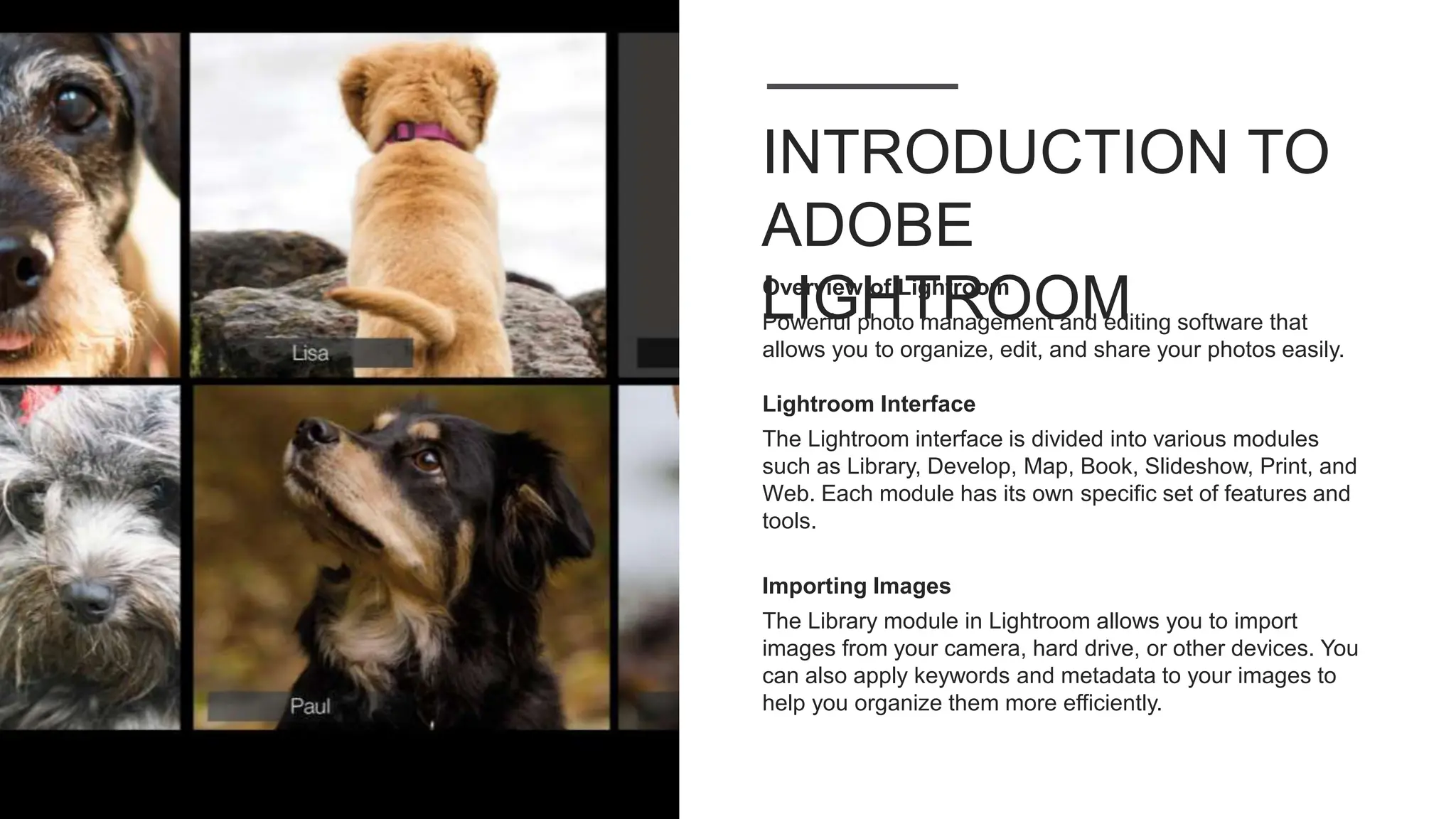 Basic Photo Editing in Adobe Lightroom 2024.pptx
