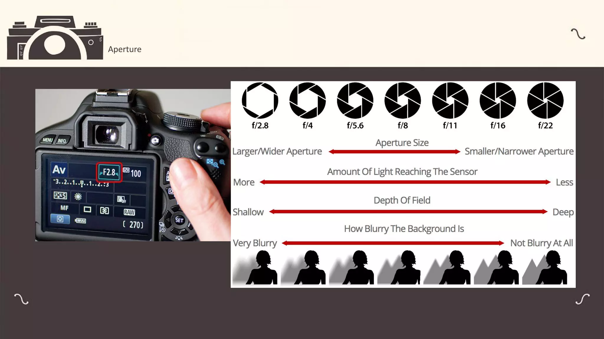 Basic Photography.pdf