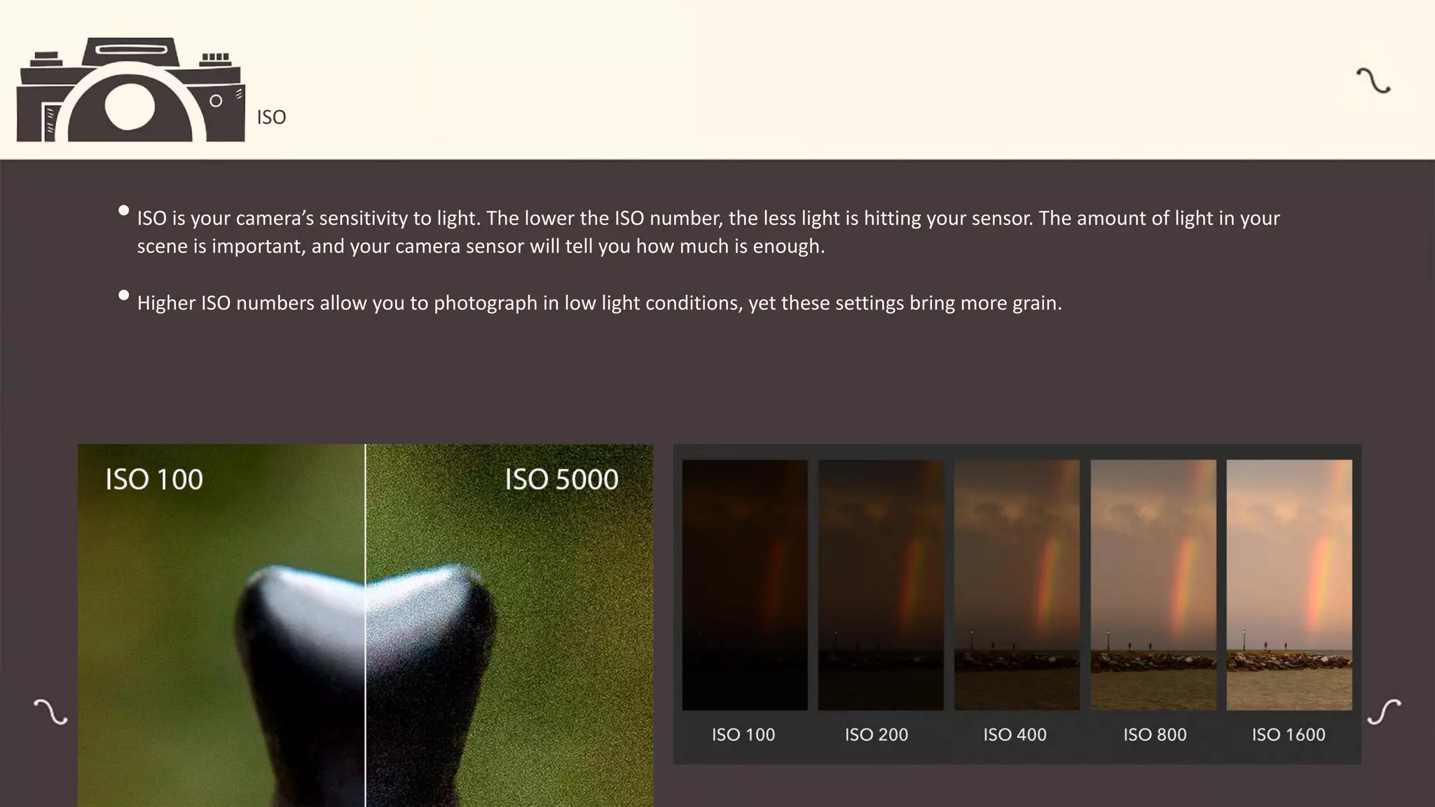 Basic Photography.pdf