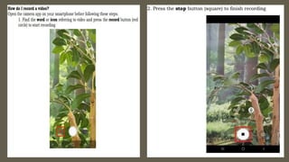 BASIC PHOTOGRAPHY for grade six learners-k to 12 based | PPTX