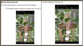 BASIC PHOTOGRAPHY for grade six learners-k to 12 based | PPTX