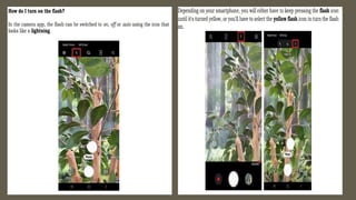 BASIC PHOTOGRAPHY for grade six learners-k to 12 based | PPTX