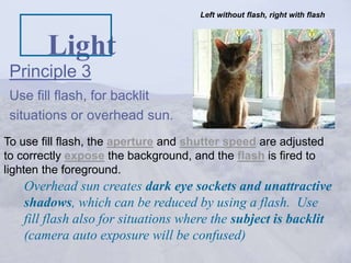 basicphotography_-_2nd_class_good2.ppt