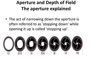 Basic photography aperture and depth-of-field | PPT