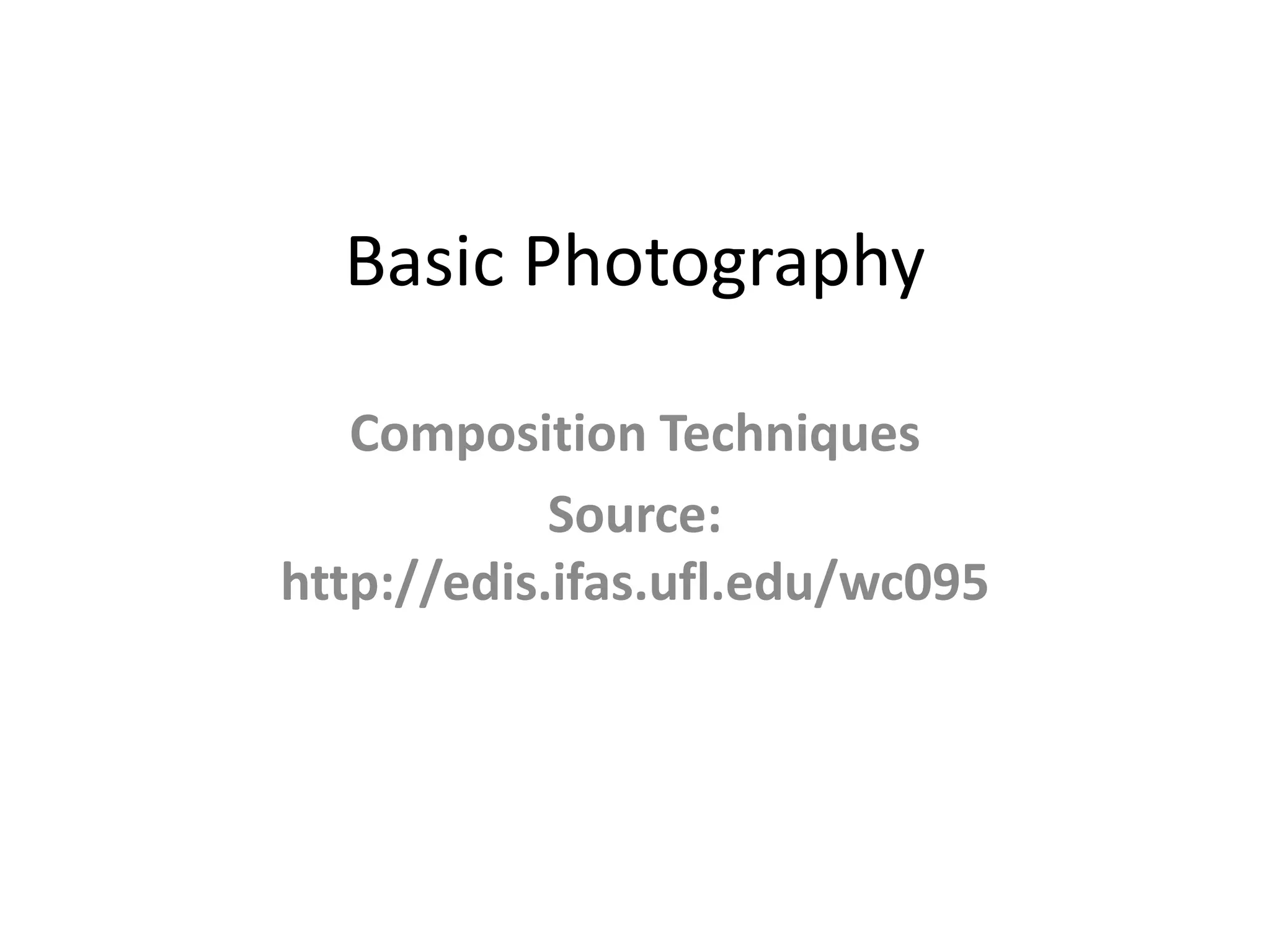 Basic photography composition techniques | PPTX