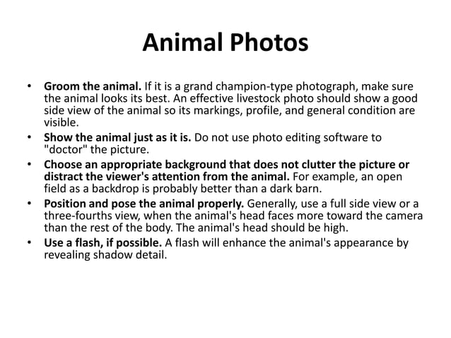 Basic photography composition techniques | PPTX | Cameras and Camcorders | Consumer Electronics