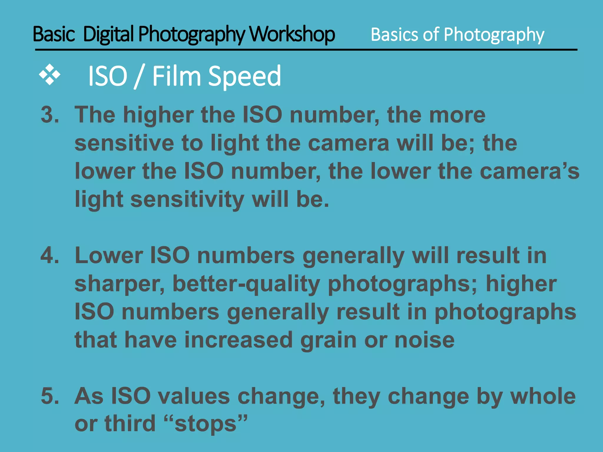 Basic photography workshop | PDF