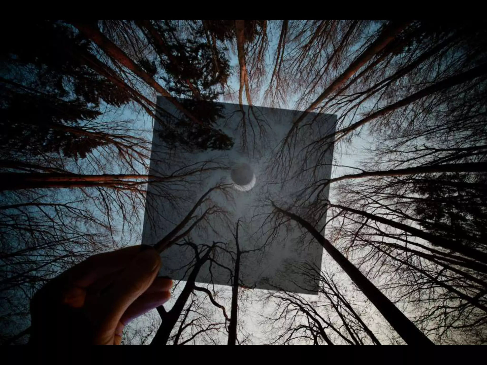 Basic Photography Workshop Presentation | PPTX