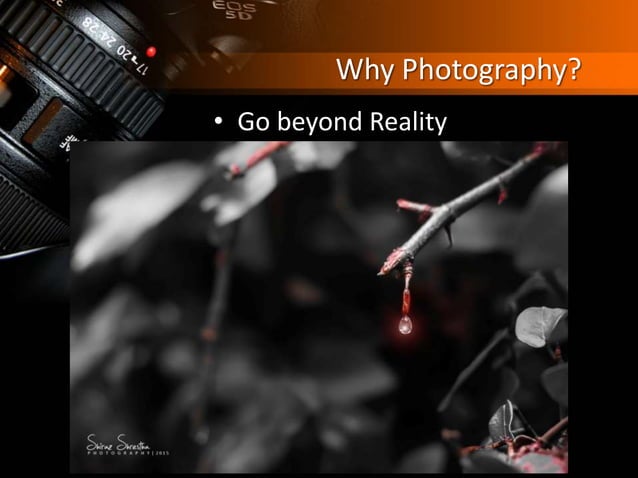 Basic Photography Workshop Presentation | PPTX | Photography | Arts and Crafts