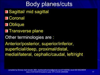 Basic physics of ultrasound | PDF