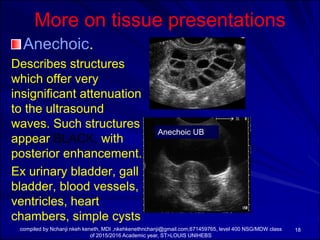 Basic physics of ultrasound | PDF