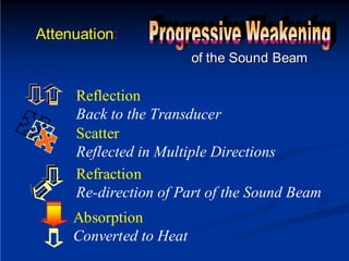 Basic Physics of Ultrasound.sonar device | PPT