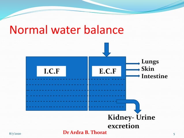Basic physiology of Body Fluids | PPTX