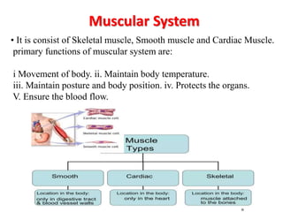 Physiology.pptx