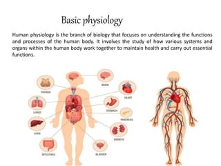 Physiology.pptx
