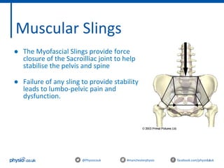 Basic Pilates Training for Sports and Massage Therapists | PPTX