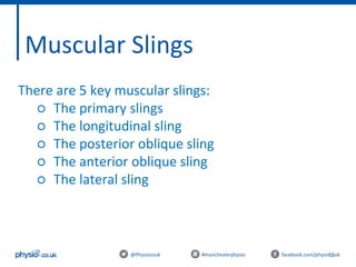 Basic Pilates Training for Sports and Massage Therapists | PPTX