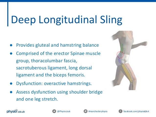 Basic Pilates Training for Sports and Massage Therapists