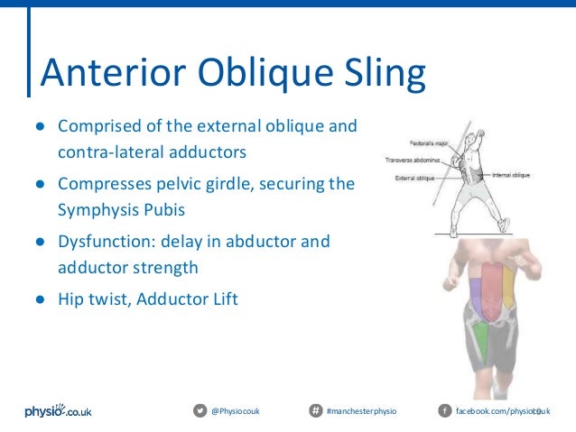 Basic Pilates Training for Sports and Massage Therapists