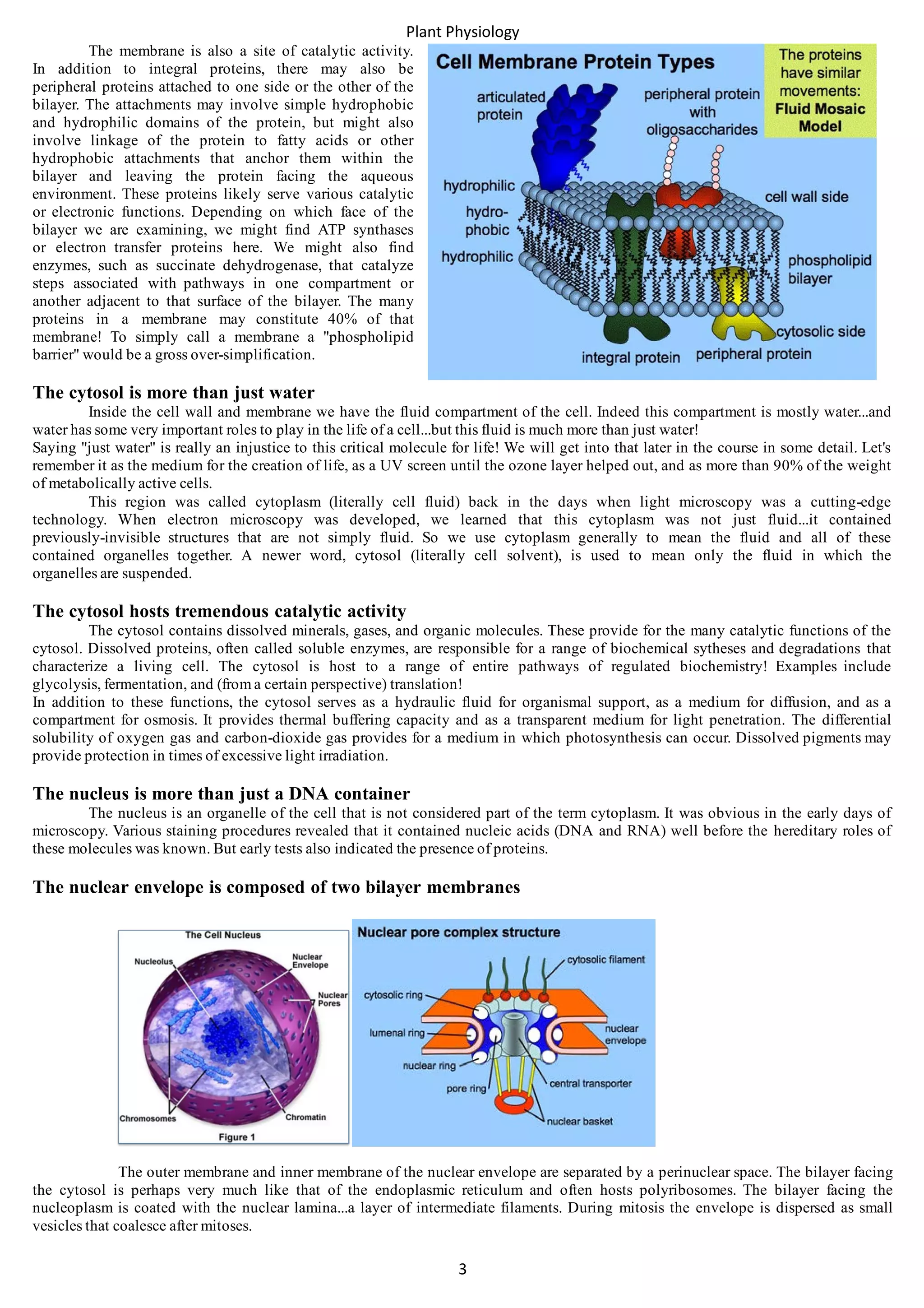 Basic plant cytology | PDF