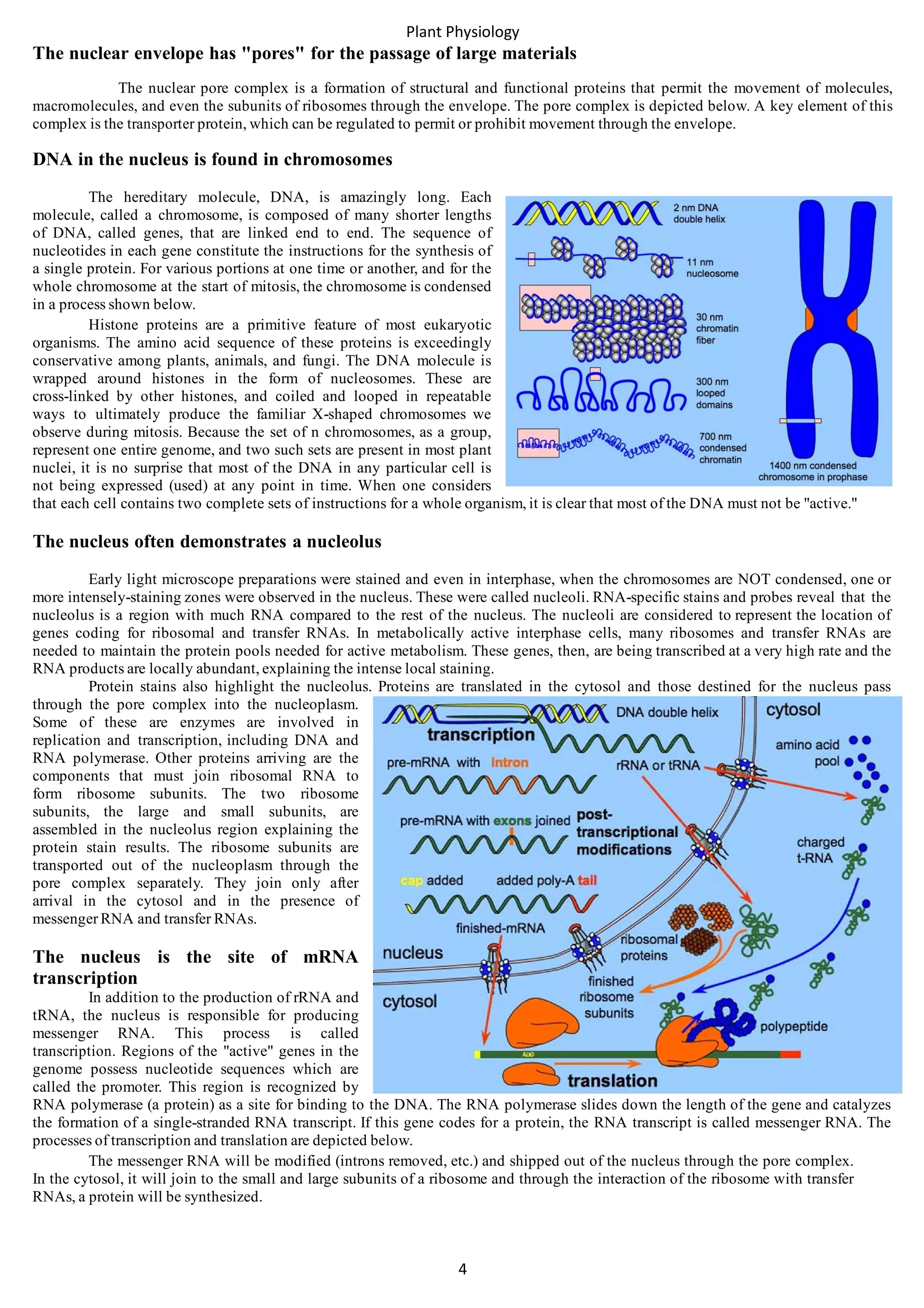 Basic plant cytology | PDF