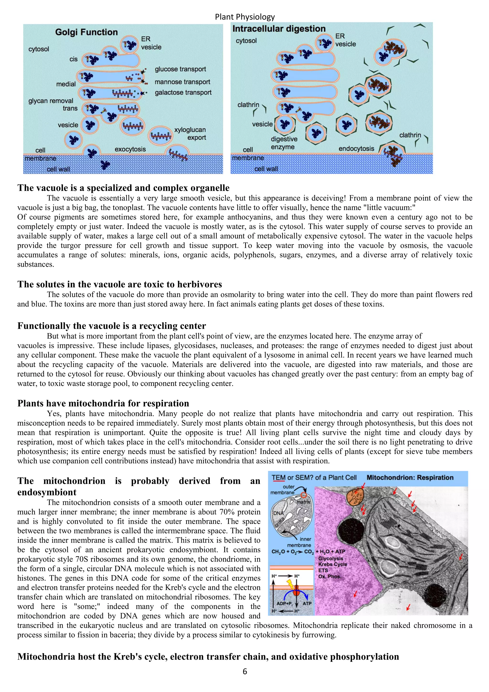Basic plant cytology | PDF