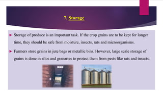 Basic practices of crop production | PDF