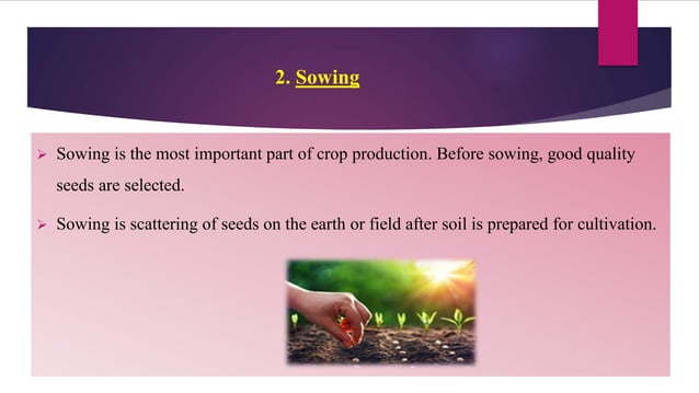 Basic practices of crop production | PDF | Agriculture | Industries