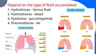 COPD MEDICAL SURGICAL NURSING presentation.pptx | Lung and Respiratory ...