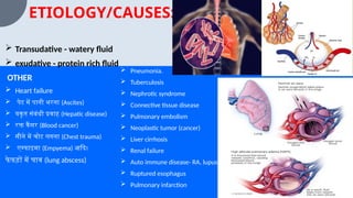 COPD MEDICAL SURGICAL NURSING presentation.pptx